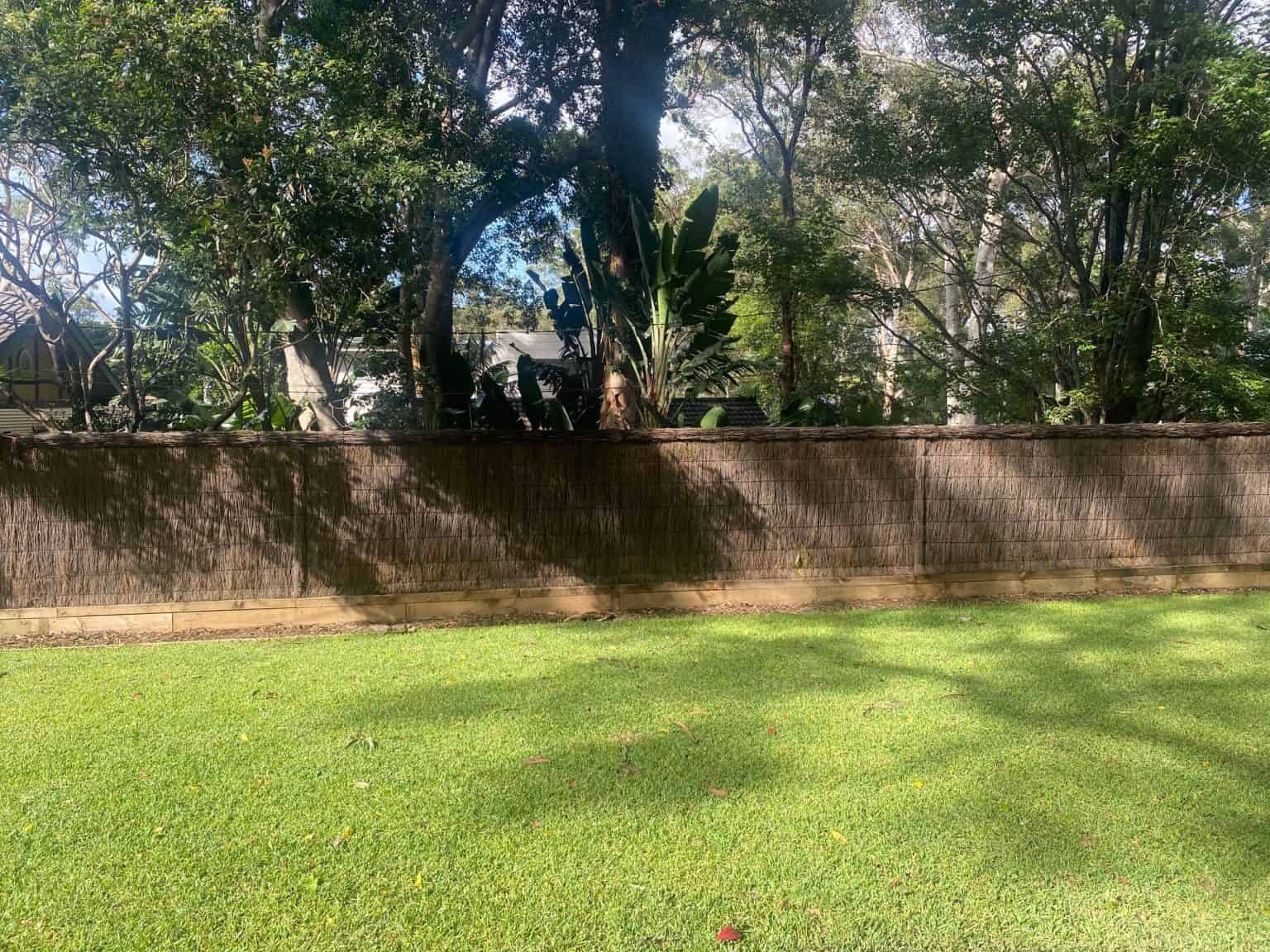 Hand thatched fence provides softer angles - North Shore Brush Fencing