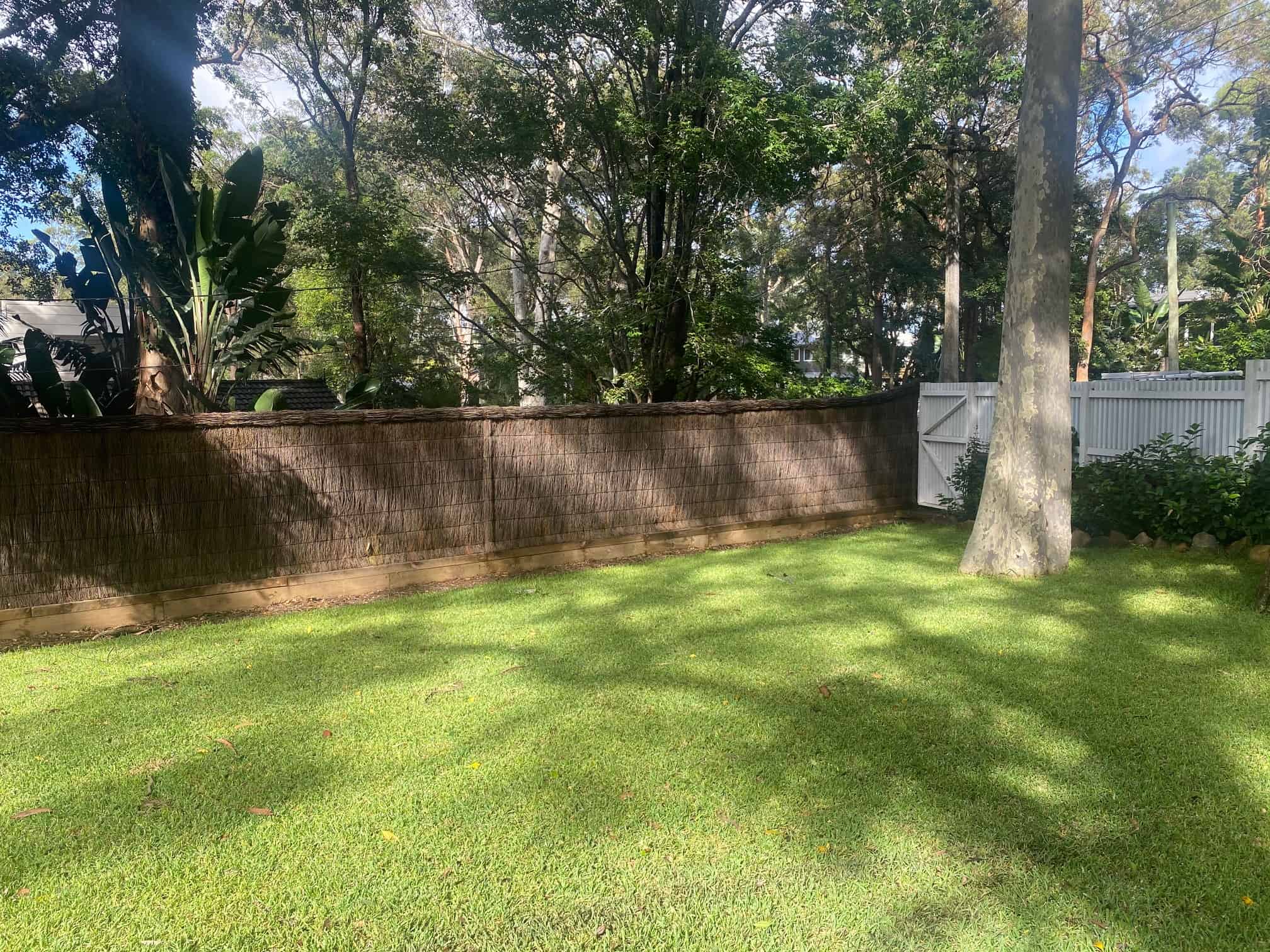 Hand thatched fence provides softer angles - North Shore Brush Fencing