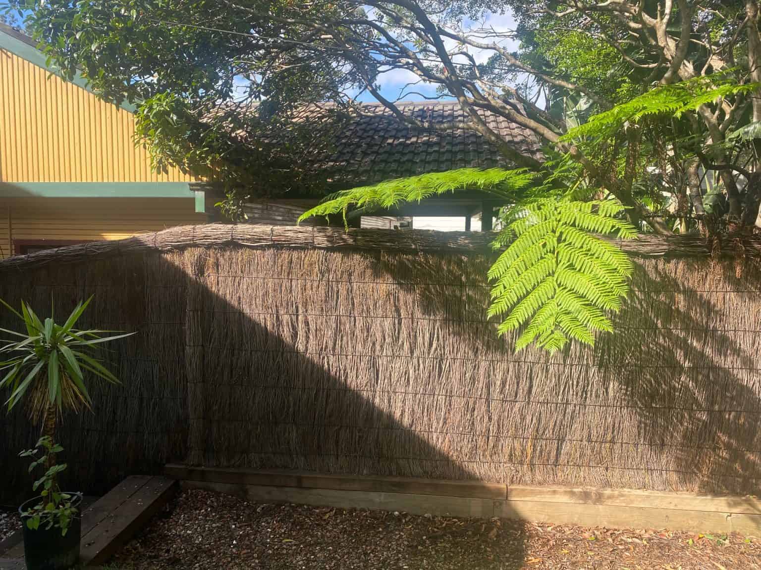 Hand thatched fence provides softer angles - North Shore Brush Fencing