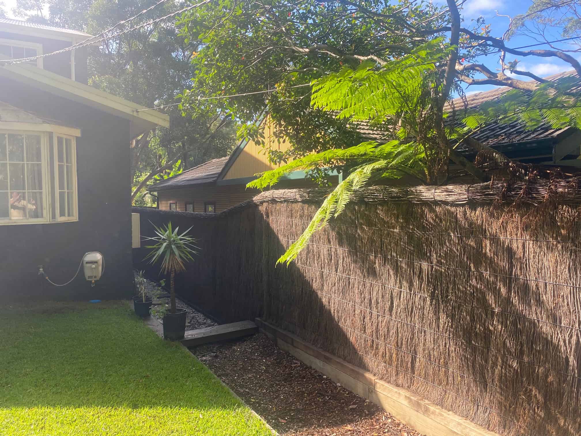 Hand thatched fence provides softer angles - North Shore Brush Fencing