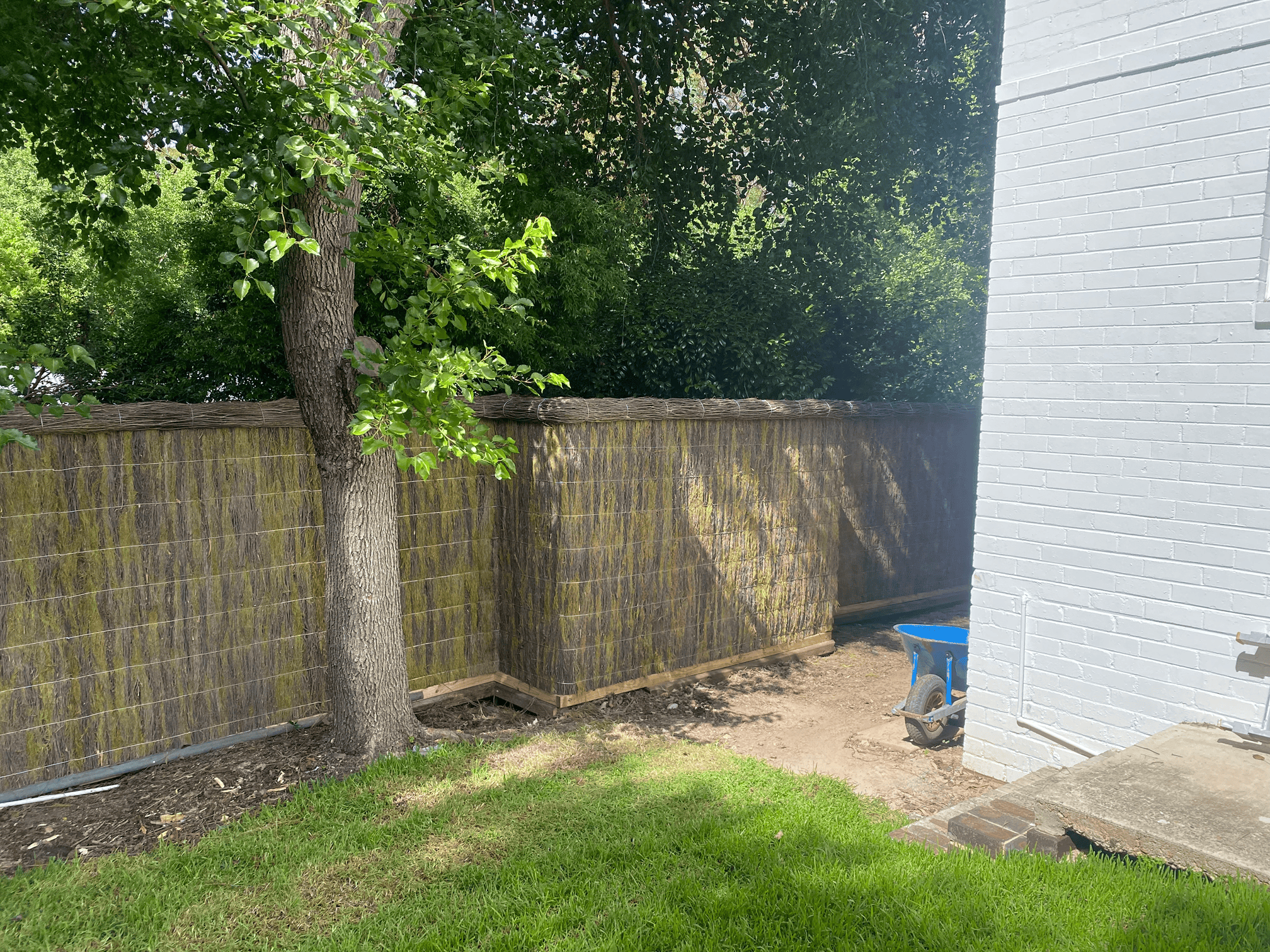 Embracing Nature through Brushwood Fencing - North Shore Brush Fencing